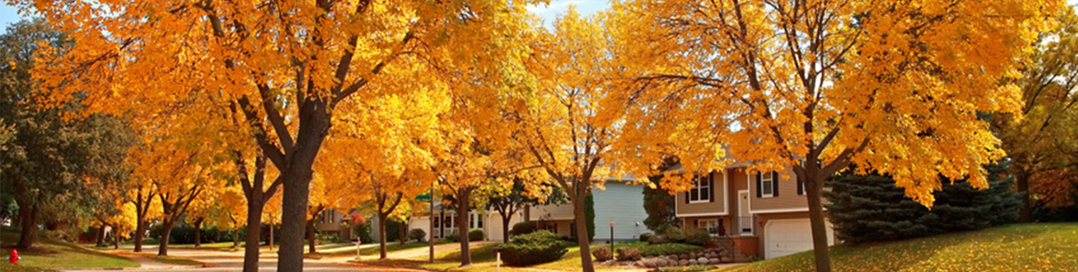 Your Fall Maintenance Guide & Checklist | Choice Home Remodeling